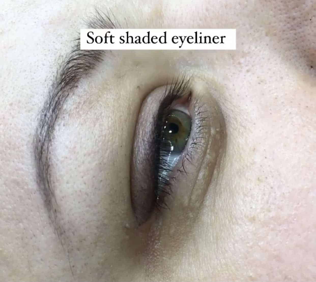 Soft Shaded vs Winged Eyeliner for Defined Lasting Beauty